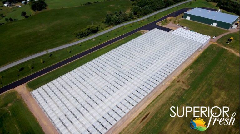 Superior Fresh Atlantic salmon receives non-GMO certification ...