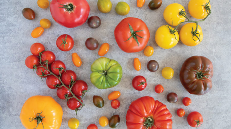 Tomatos_Multi colored looking down_web - Lakewinds Food Co-op