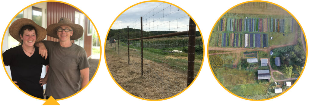 Sowing a Sustainable Future - Lakewinds Food Co-op