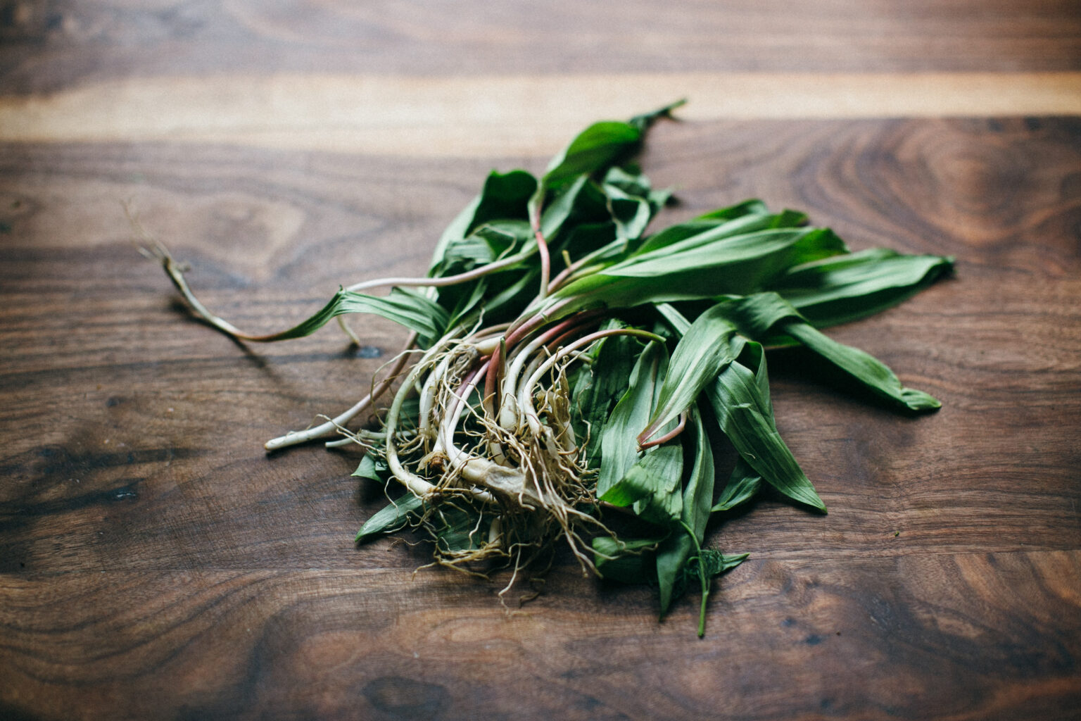Wild Ramps and How to Use Them | Lakewinds Food Co-op