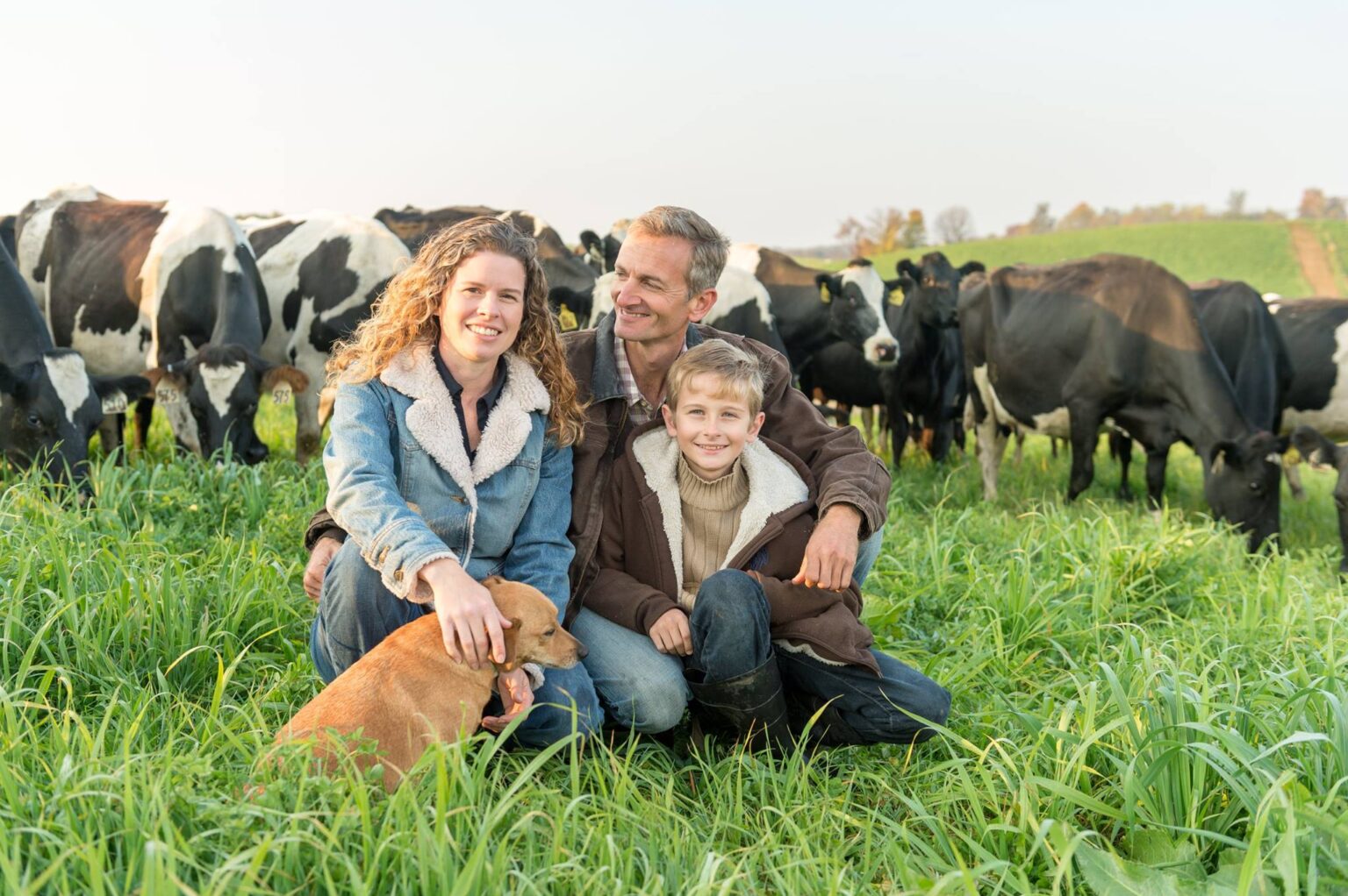 Local Dairy and Artisan Cheese Vendors - Lakewinds Food Co-op