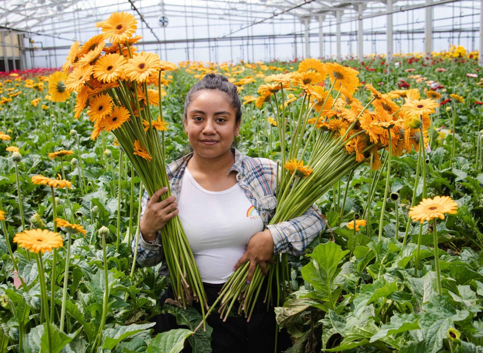 Locally Grown Produce | Lakewinds Food Co-op