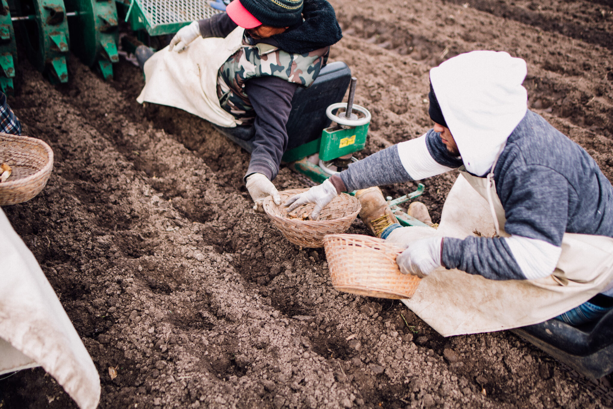 Seeding Success: Springtime on the Farm - Lakewinds Food Co-op