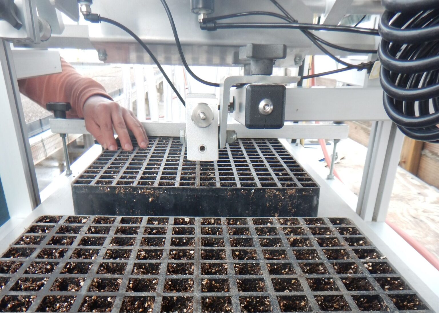 Seeding Success: Springtime on the Farm - Lakewinds Food Co-op