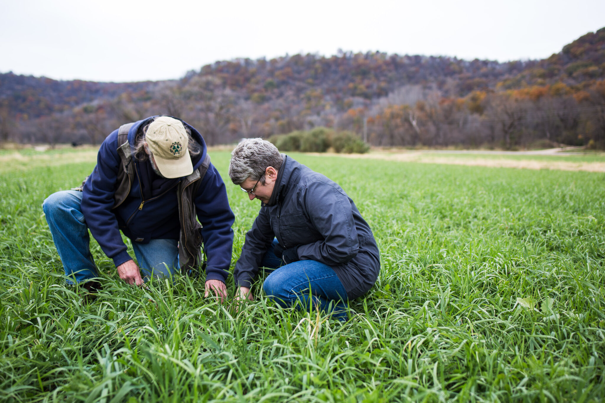 Seeding Success: Springtime on the Farm - Lakewinds Food Co-op